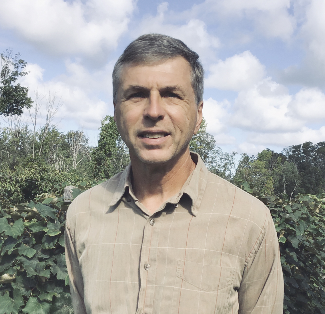 Rudnicki running for Westfield board | News, Sports, Jobs - Observer Today